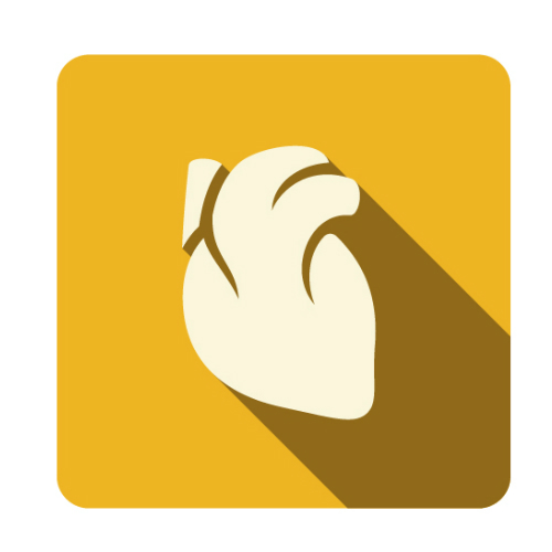 Exceptional Cardiology Fellowship Personal Statement Writing